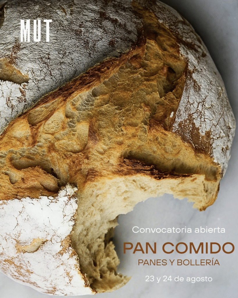 PAN COMIDO MUT: encuentro de panes y bollería se realizará en el MUT ...